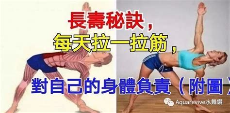 健康長壽秘訣每天拉一拉筋對自己的身體負責