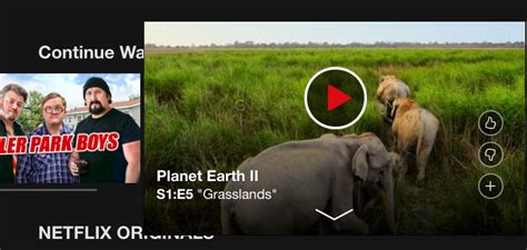 You Might Not Need Javascript For That Netflix Style Hover Effects