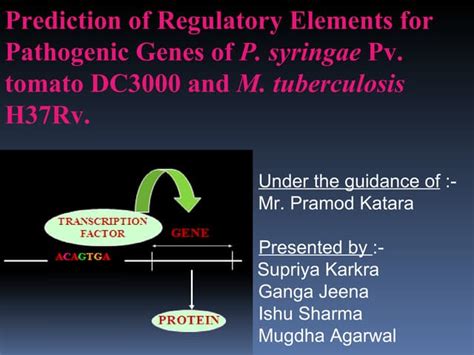 Prediction Of Regulatory Elements Ppt Gardening Home And Garden