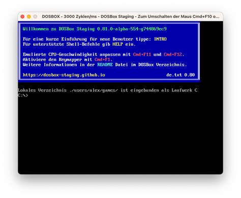 Output Surface Doesn T Scale Up 320x200 On MacOS Issue 2414