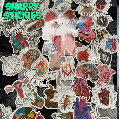 Anatomy Body Parts Sticker Pack Body Organs Stickers Study Stickers