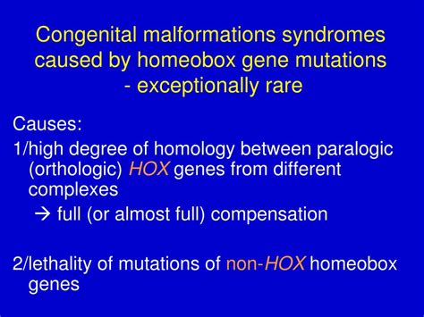 Ppt Homeobox Genes Powerpoint Presentation Free Download Id3310768
