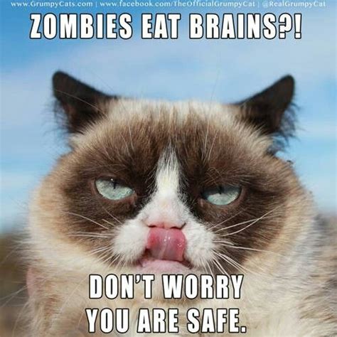 Kitten Zombie Memes