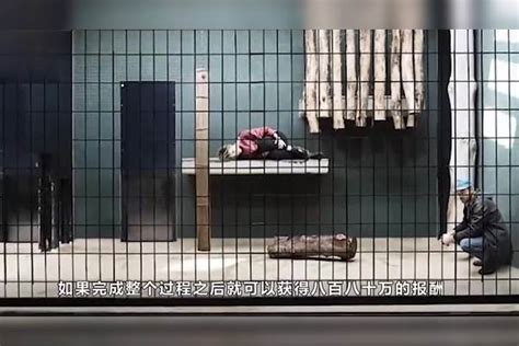 男女被关在笼中“观赏”！满一年就能拿800万，却无人能做到满一年男女