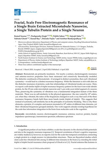 Pdf Fractal Scale Free Electromagnetic Resonance Of A Single