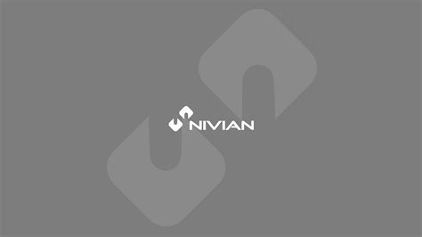 Nivian Alarmas Y Cámaras Opiniones Y Precios
