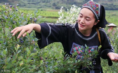 農村戶口的注意了：2019年國家大力發展農村，出台多項扶持政策！ 每日頭條