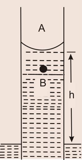 Capillary Action Definition Laws And Examples