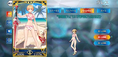 Fgoガレスちゃん【最終再臨】水着ではなく下着【解釈違い】 Anser