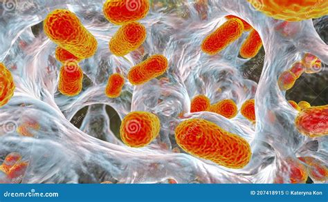 Multidrug Resistant Bacteria Stock Illustration Illustration Of Baumannii Health 207418915