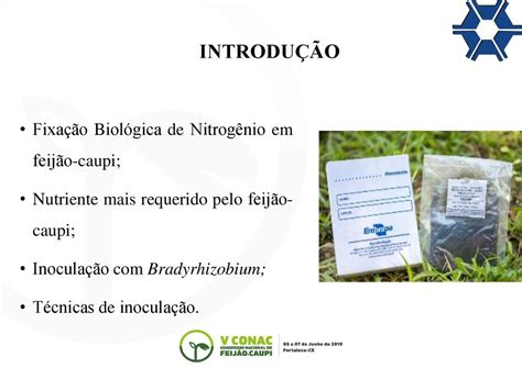 TÉCNICAS DE INOCULAÇÃO DE BRADYRHIZOBIUM NA CULTURA DO FEIJÃO CAUPI