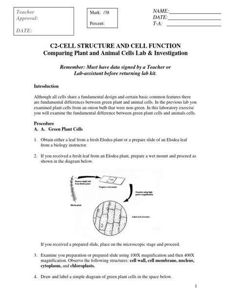 c2 cell structure and cell function lab and investigation pdf osmosis