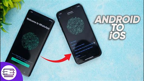 Official Transfer Whatsapp From Android To Iphone Ios Tutorial Youtube