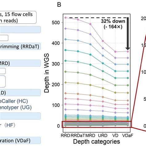 Process Of Whole Genome Sequence Variant Calling A Summary Of The