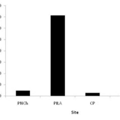 Relative Abundance Distribution According To Elevation Download