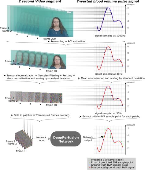 Imaging Photoplethysmography Ippg Matthieu Scherpf