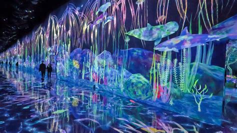 A New Chapter At Teamlab Planets Tokyo Attraction Expands