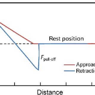 Schematic Representation Of An Afm Force Displacement Curve Showing The