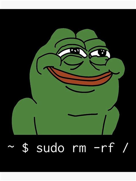 Pepe Sudo Rm Rf For Linux Funny Linux Command Poster Poster For