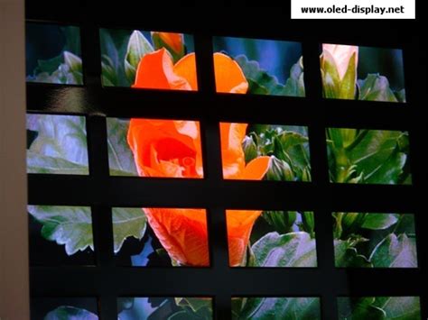 Dupont Oled At Sid 2010 Oled Erich Strasser Flickr