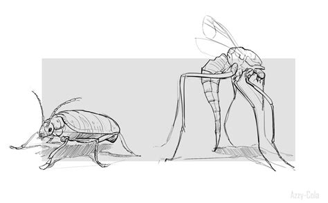 Insects By Azzy Cola On Deviantart