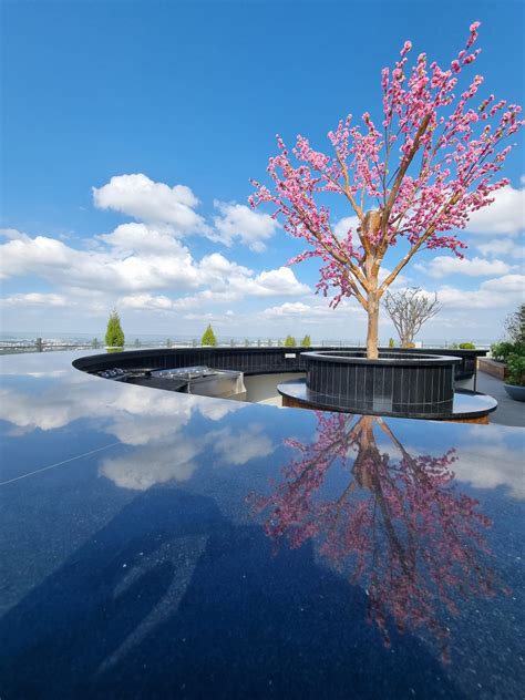The Ark Voyage By Tribeca Nibm Pune A Luxury Residential