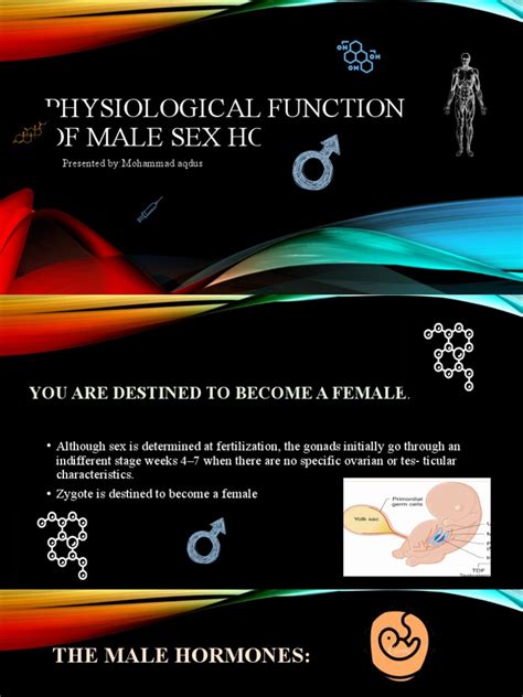 Physiological Functions Of Male Sex Hormone Presented Bymohammad