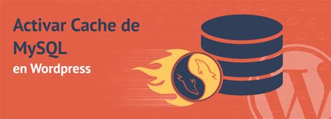 Como Utilizar Cache De Mysql En Wordpress Infranetworking