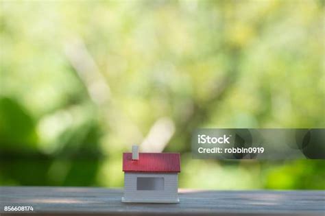 미니어처 집 나무 Mock에 날 정오 빛에 흐린된 녹색 정원 이상의 최대 재산 부동산 투자 개념에 대 한 이미지입니다 건축에