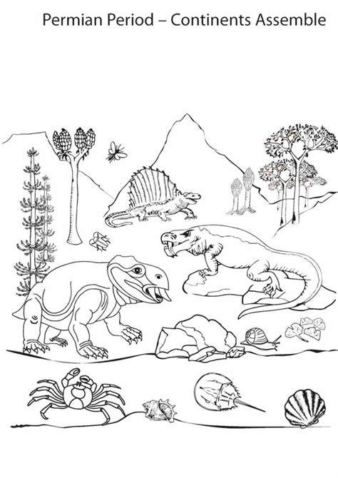 Permian Paleozoic 6 Cornwall Sea To Stars