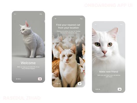 Onboarding App UI UI UX On Behance