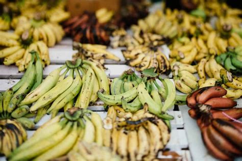 Java Apple Nutrition Facts Health Benefits And More
