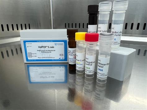 Streptococcus Suis Detection Kits Pcr Kit