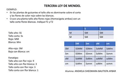 Resumen De Bioestadistica Apuntes De Bioestadística Docsity