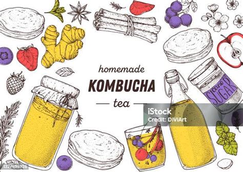 콤부차 스케치를 위한 콤부차 차와 재료 손으로 그린 벡터 그림 콤부차 음료 차 버섯 차 곰팡이 또는 만주 버섯 Kombucha에 대한 스톡 벡터 아트 및 기타 이미지