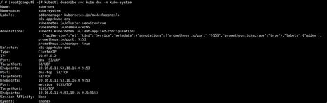 关于容器中dns解析错误问题 · Issue 109 · Kubeovnkube Ovn · Github
