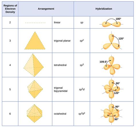 Hybridization Understanding The Concept