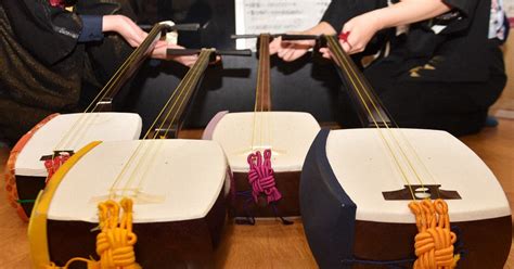 Traditional Japanese String Instruments With Pictures