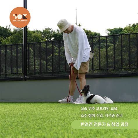 50k반려견아카데미 마이펫페어