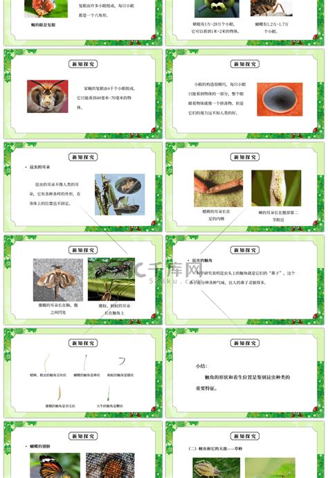 教科版六年级科学下册第一单元《微小世界 放大镜下的昆虫世界》ppt课件ppt模板免费下载 Ppt模板 千库网