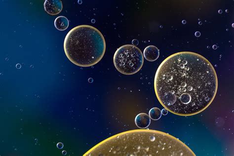 Journal Club Candida Albicans Biofilminduced Vesicles Confer Drug