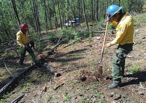 Secretaría De Medio Ambiente Empieza Prevención De Incendios Forestales