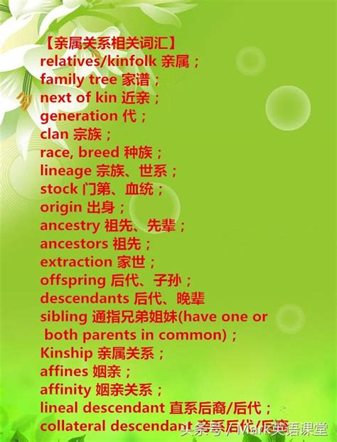 表示亲属关系的英文词汇，收藏备用！ 每日头条