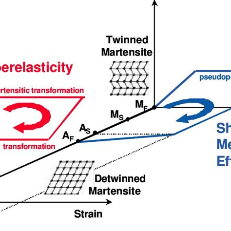 Principle Of Shape Memory Alloy Constitutive Behaviour Download