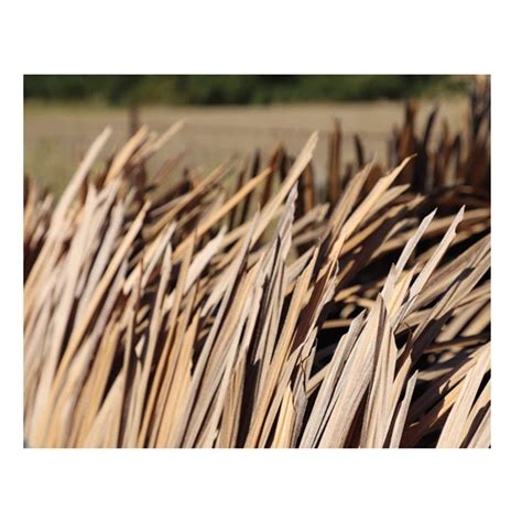 J2 Outdoors Last Grass Hunting Blind Grass Rogers Sporting Goods