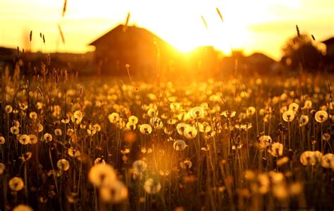 Girl Summer Sun Photography Wallpaper High Definitions Wallpapers