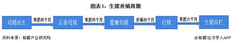 2023年中国生猪养殖行业全景图谱附市场规模、竞争格局和发展前景等 本文核心数据：生猪存栏规模和出栏规模、能繁母猪存栏规模、人均猪肉消费量