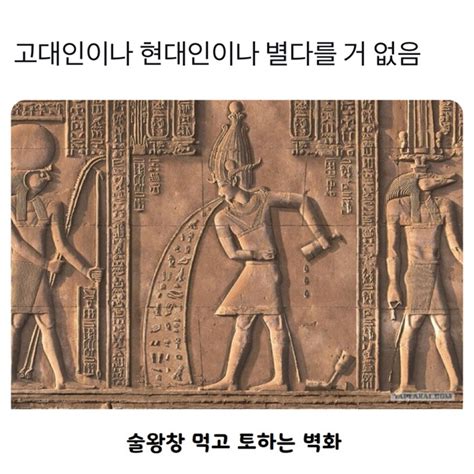 유럽미 등에 문제가 있어 의사를 찾음 문제 타투 수학문제 레전드 저거진짠가 Instagram