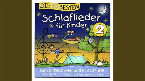 Kleine Igel Schlafen Gern YouTube
