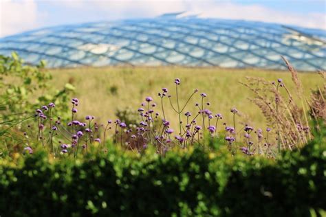 The National Botanic Garden Of Wales Is Open National Botanic Garden